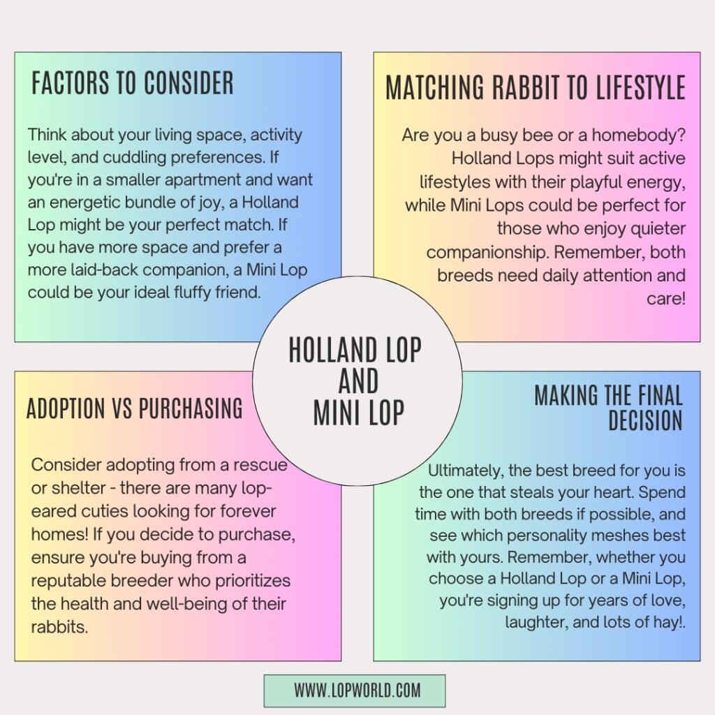 Holland Lop vs Mini Lop: Which Floppy-Eared Friend Is Right for You?