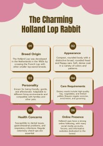 The Charming Holland Lop: Breed Profile and Facts