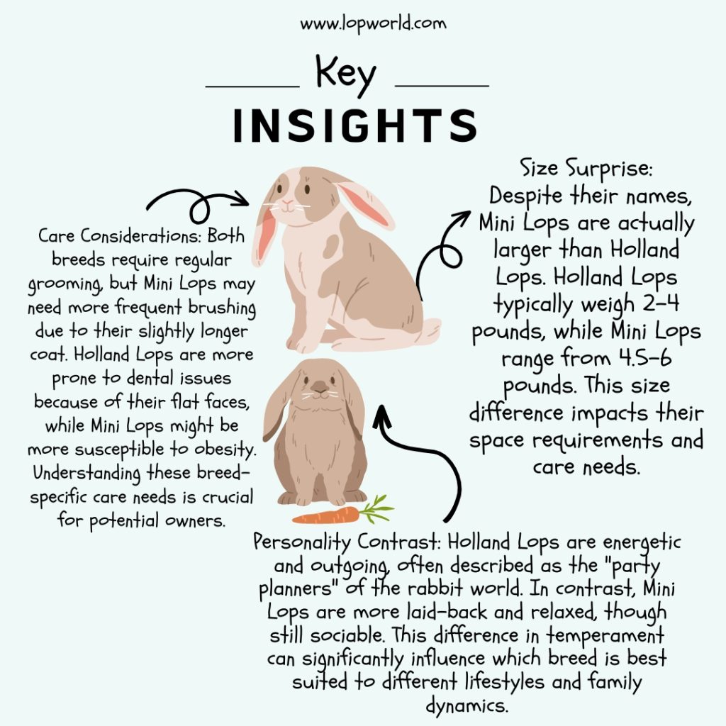 Holland Lop vs Mini Lop: Which Floppy-Eared Friend Is Right for You?