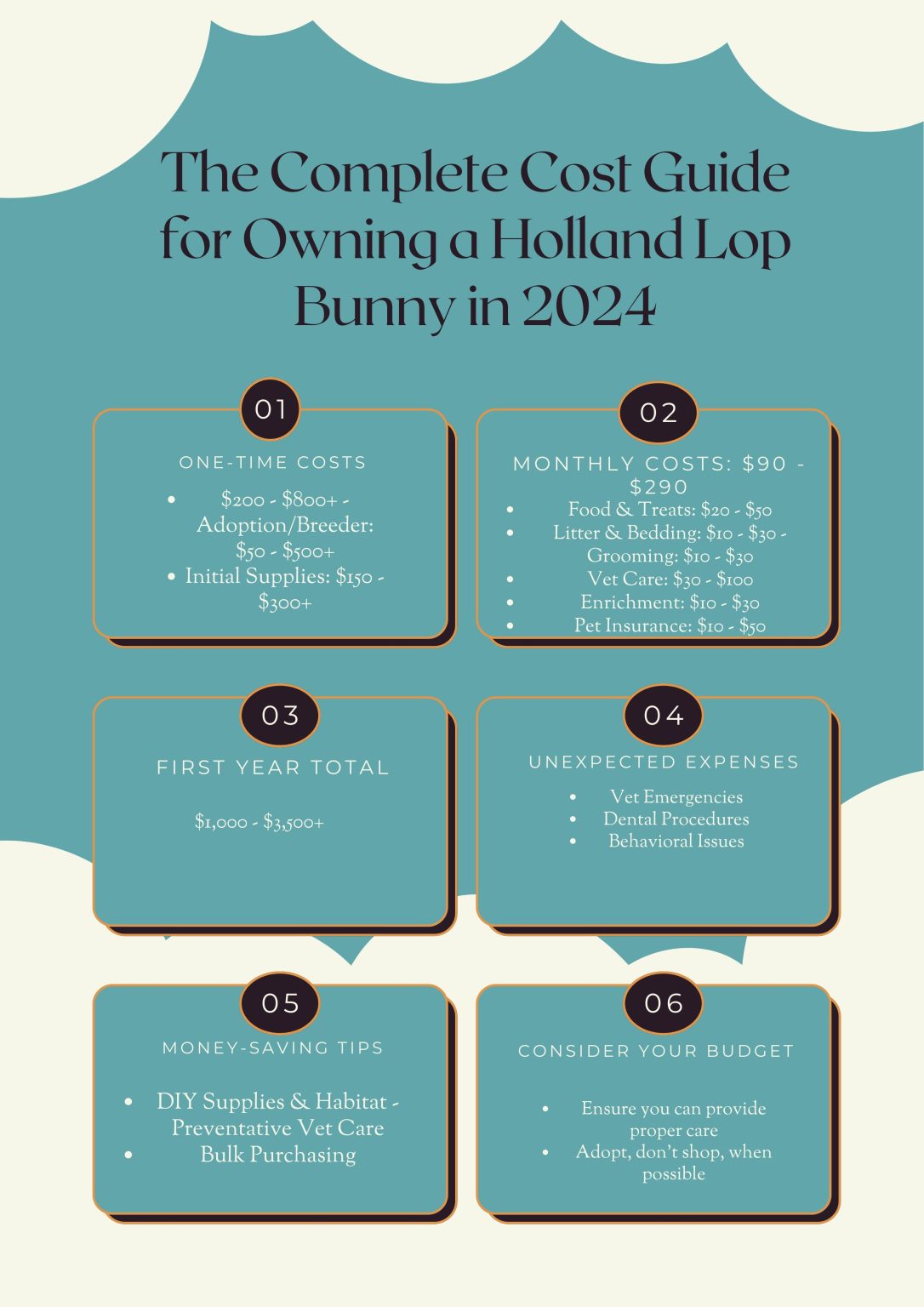 The Complete Cost Guide for Owning a Holland Lop Bunny in 2024