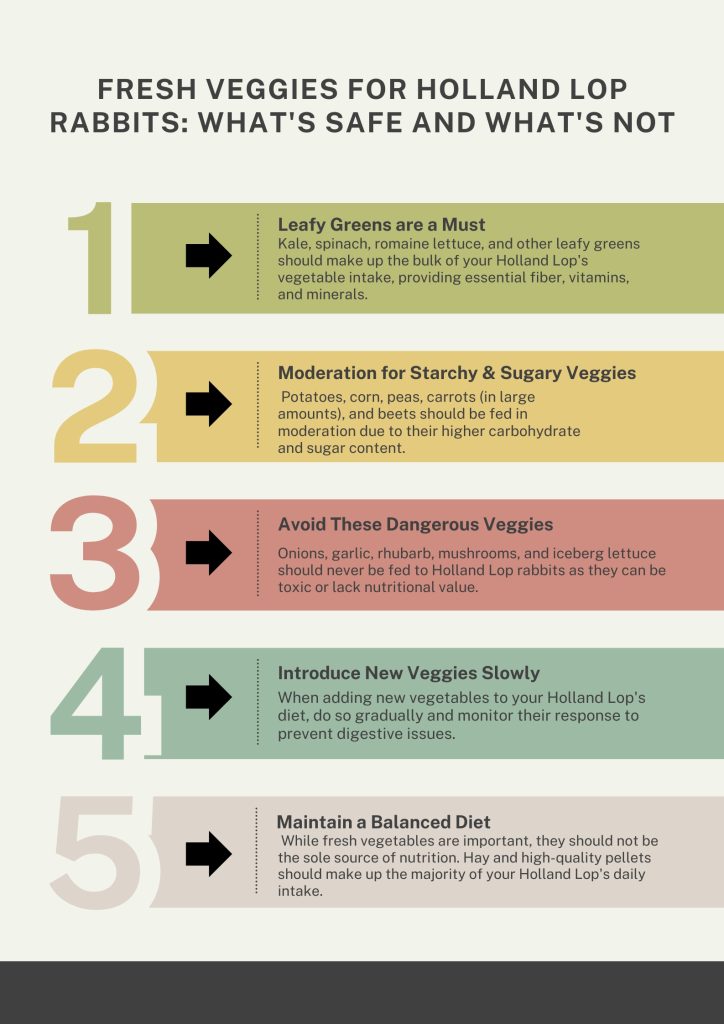 Feeding Holland Lop Rabbits: Safe and Unsafe Fresh Veggies